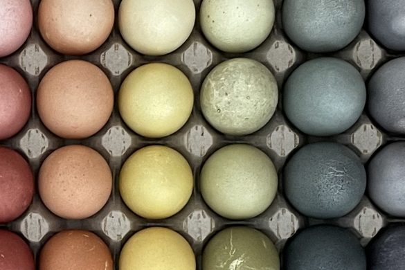 KLEINE KUGELN FILZEN | ANLEITUNG - NATURKINDER